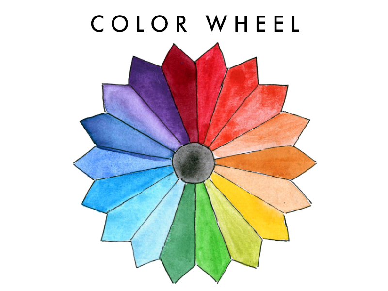 Color Wheel (Transparent Background) | Daffodil